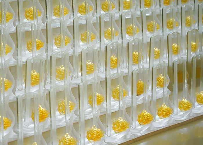 Nirvana Penang Provides Funeral Services, Columbaria & more